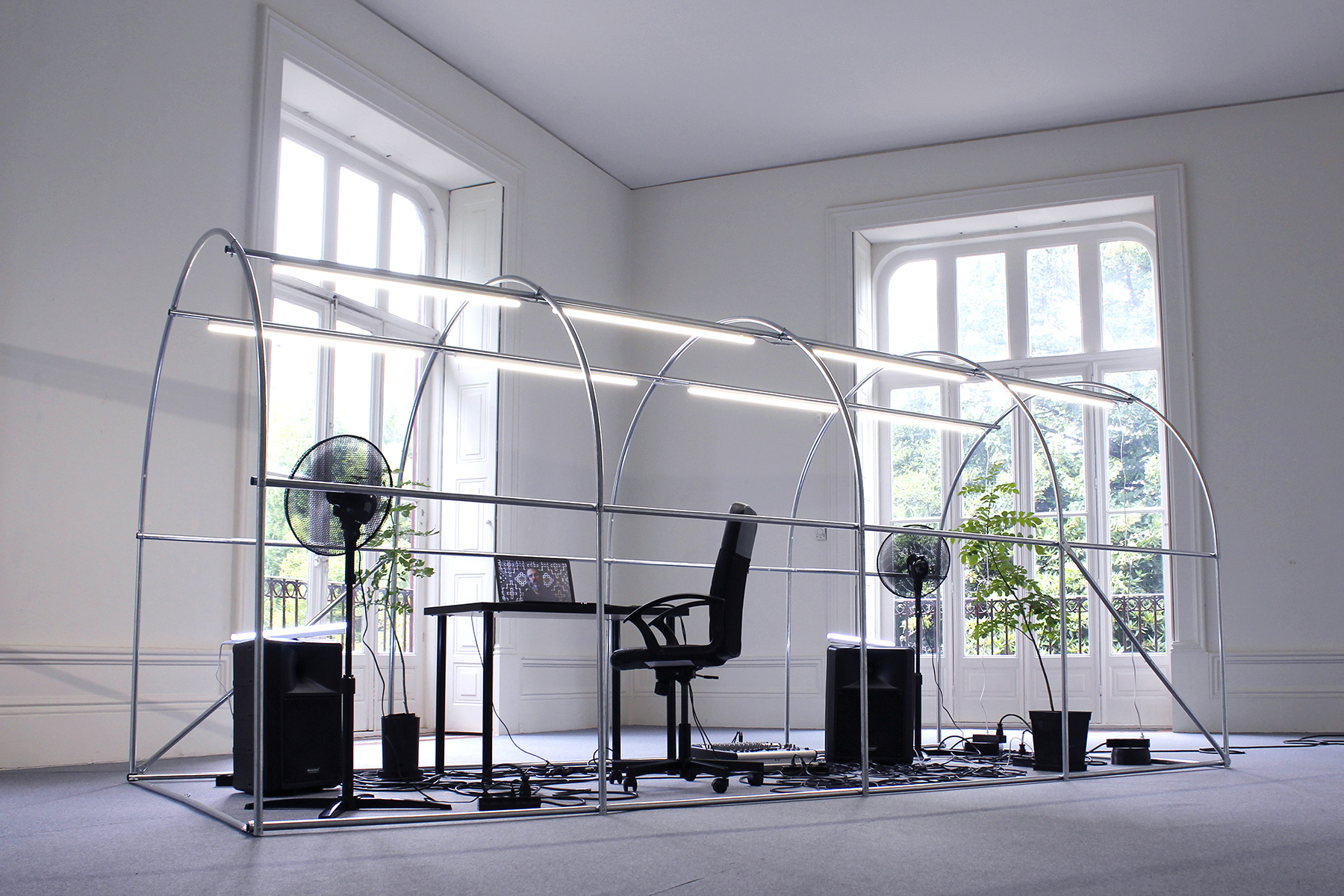 Earth — Plant Spirit