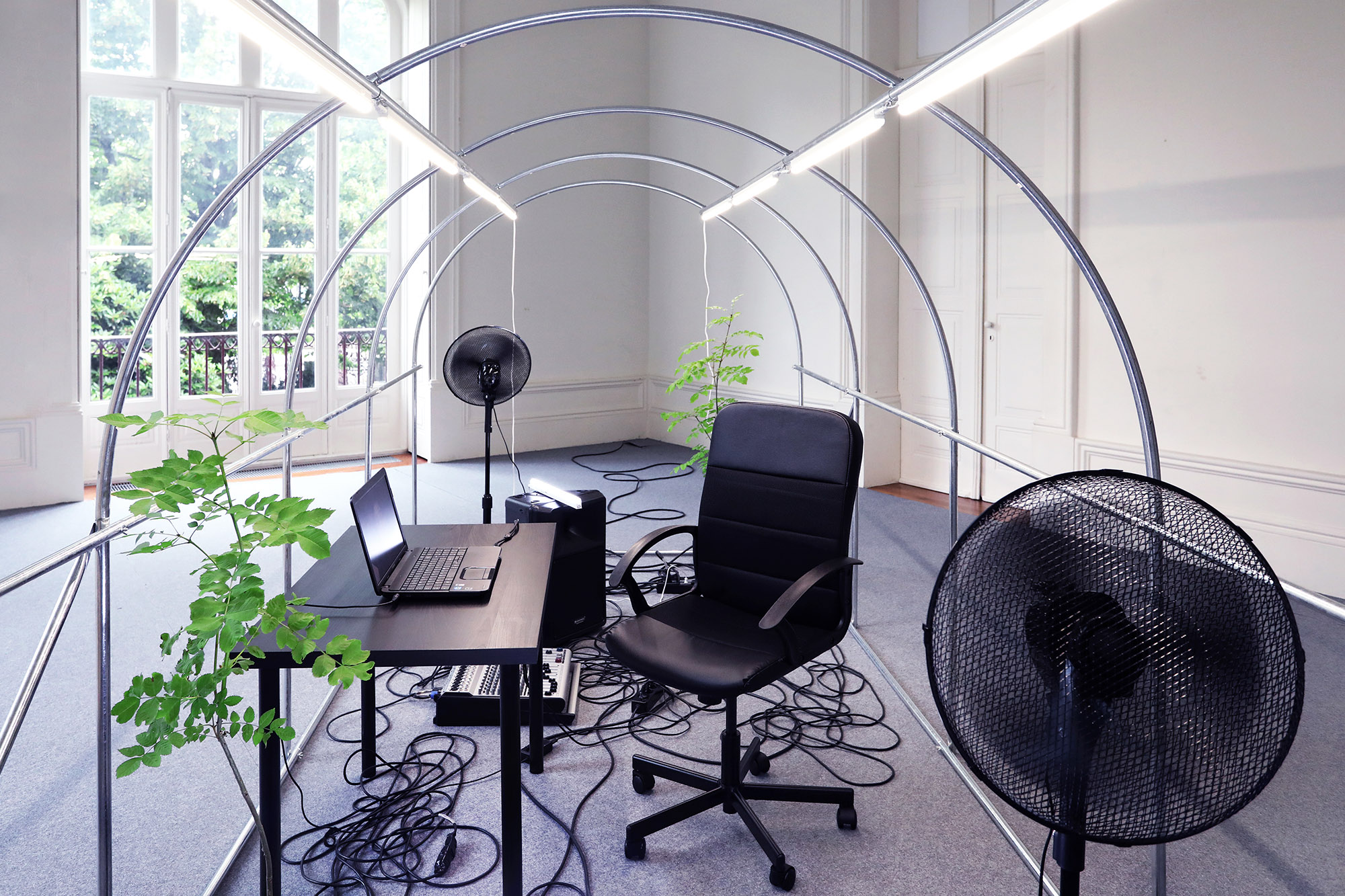 Earth — Plant Spirit