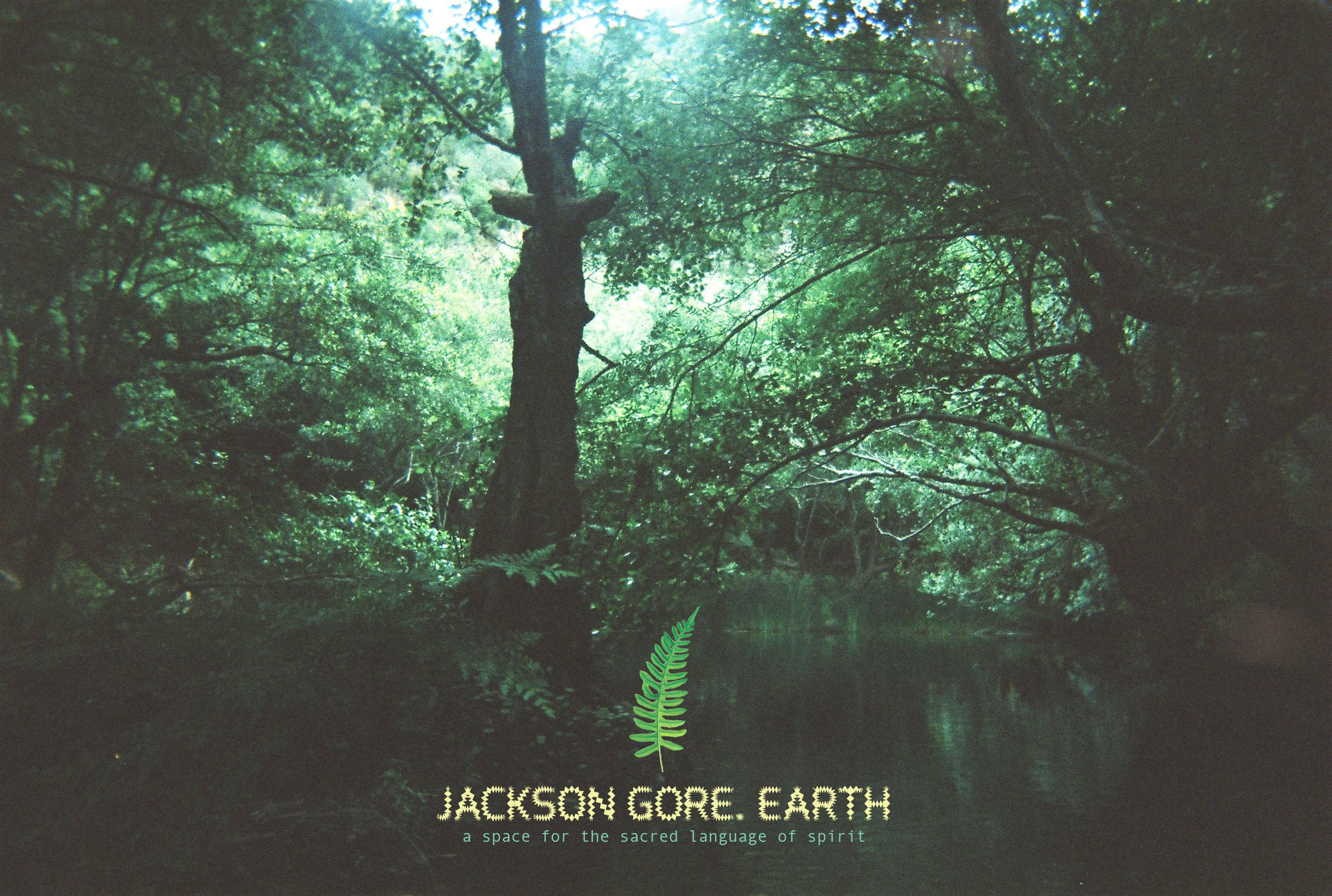 jacksongore.earth